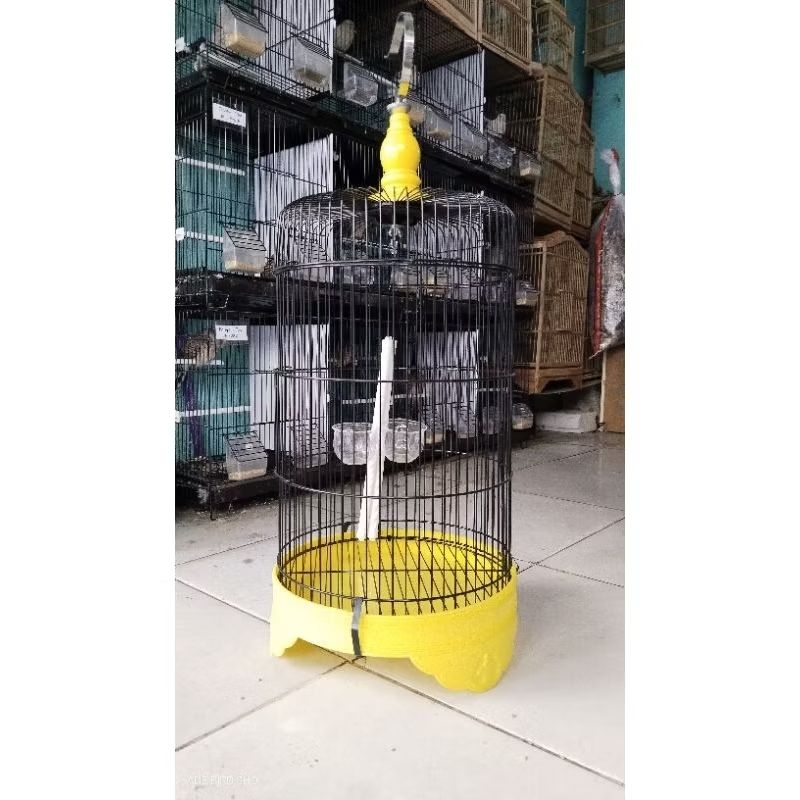 Jual sangkar pleci besi | Shopee Indonesia