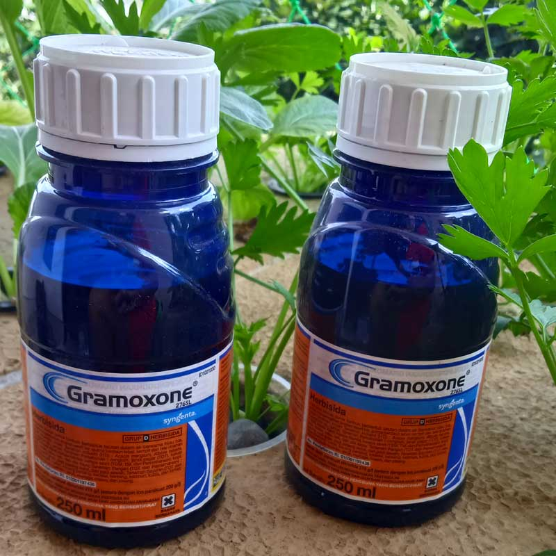 Jual [Anti Rumput] HERBISIDA GRAMOXONE GROMOSON GRAMASON 250 ML ...