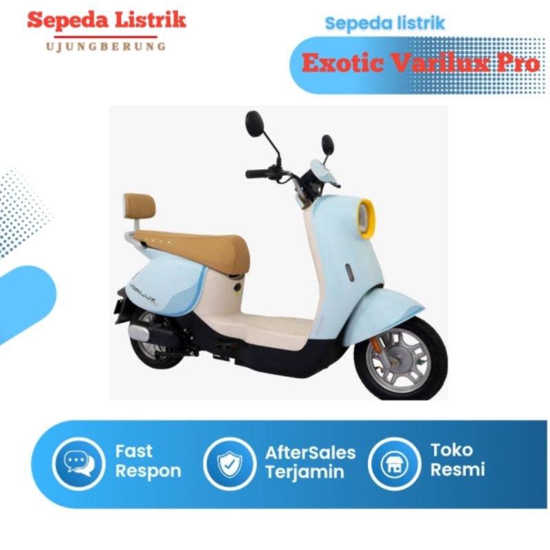 Jual Ready Stok!! Sepeda Listrik Exotic Varilux Pro-650watt-48v/20ah ...