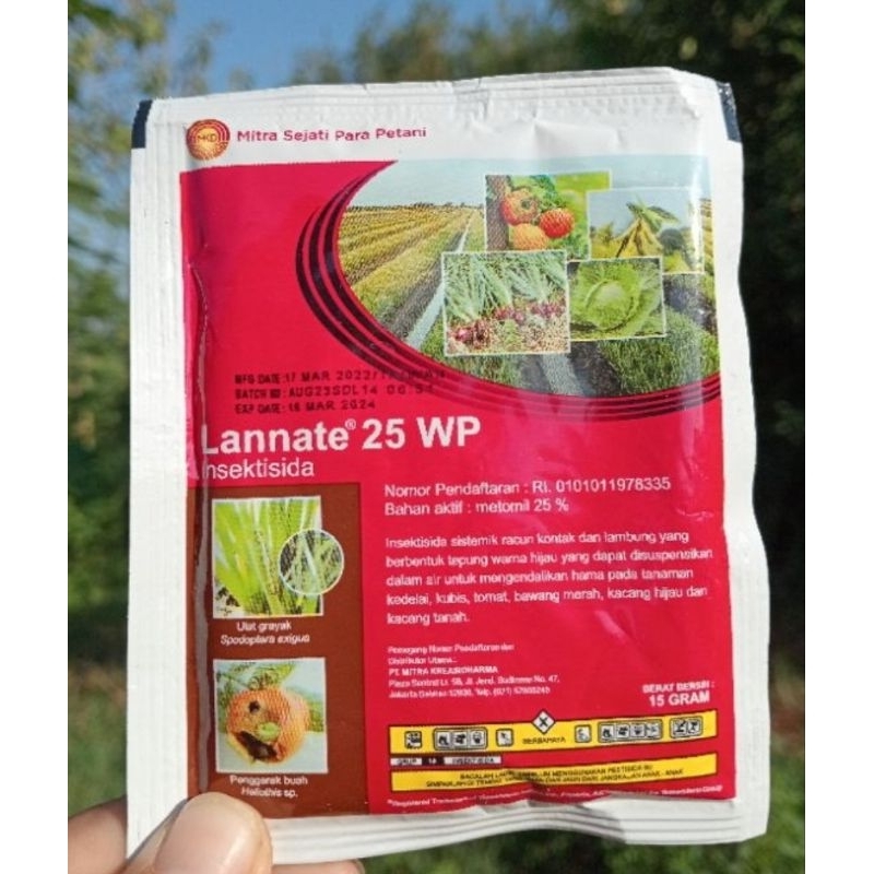 Jual Insektisida LANNATE 25 WP Sachet Kecil - 15 Gram | Shopee Indonesia