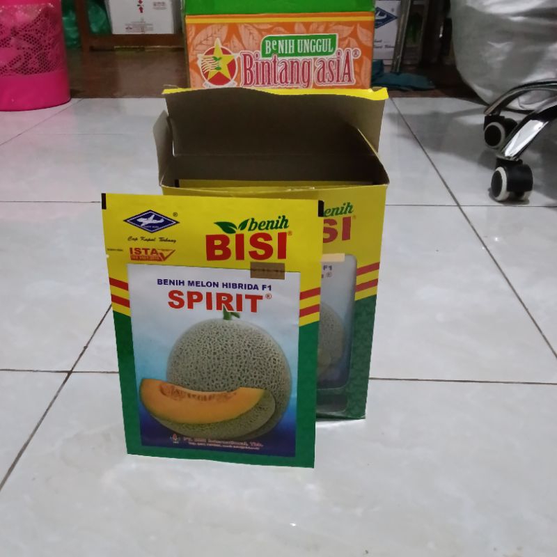 Jual Benih Bibit Melon Spirit F1/ Tahan Virus Toleran, Melon Daging ...
