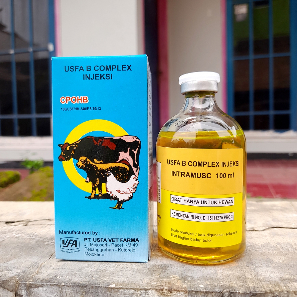 Jual USFA B COMPLEX INJEKSI 100 ML- VITAMIN B KOMPLEKS 100 ML HEWAN ...