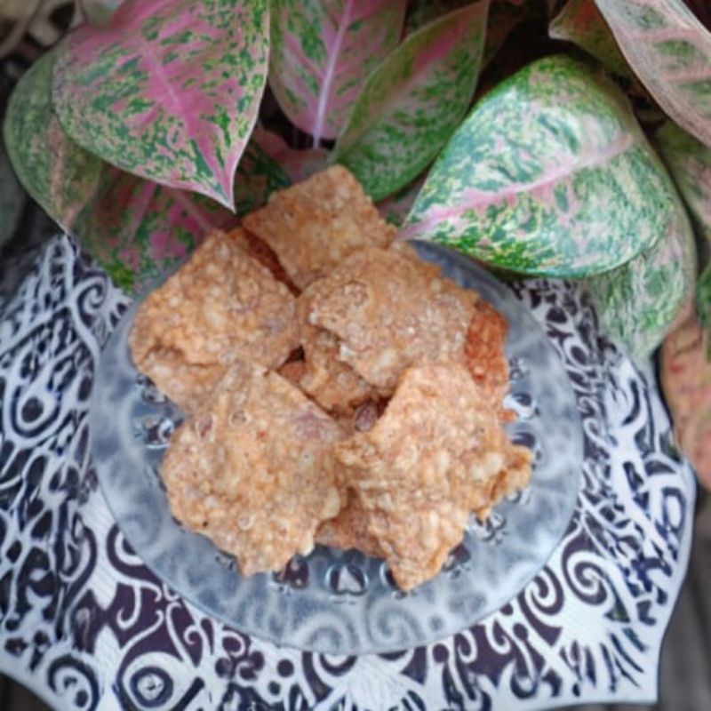 Jual Keripik Tempe Goreng Asli Has Garut (1/2kg/500gr) | Shopee Indonesia