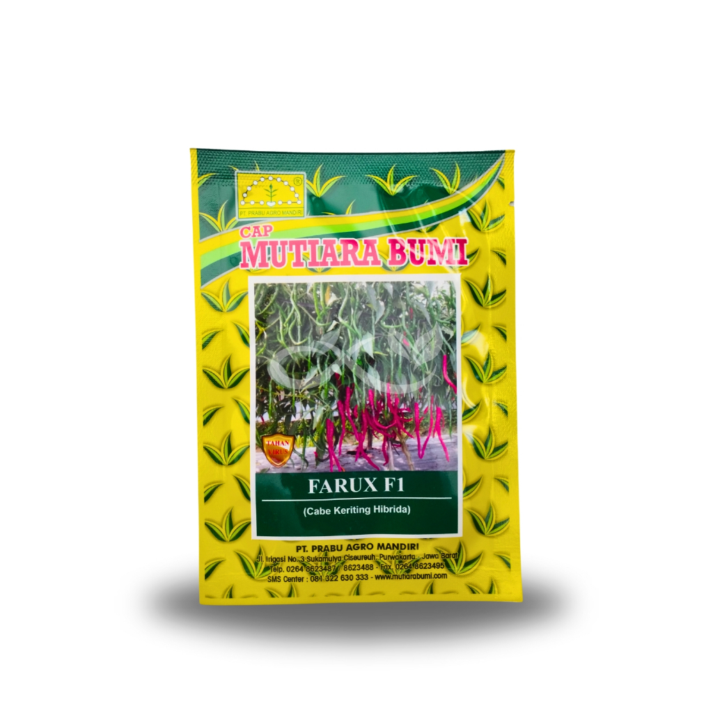 Jual Benih Cabe Keriting Farux 10gr - Produksi Tinggi, Cocok Segala ...