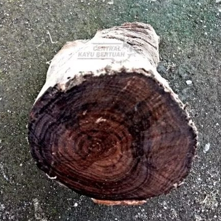 Jual bahan kayu kalimasada/kalimosodo | Shopee Indonesia
