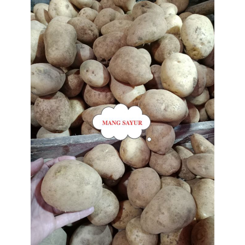 Jual kentang dieng 500gr mang sayur | Shopee Indonesia