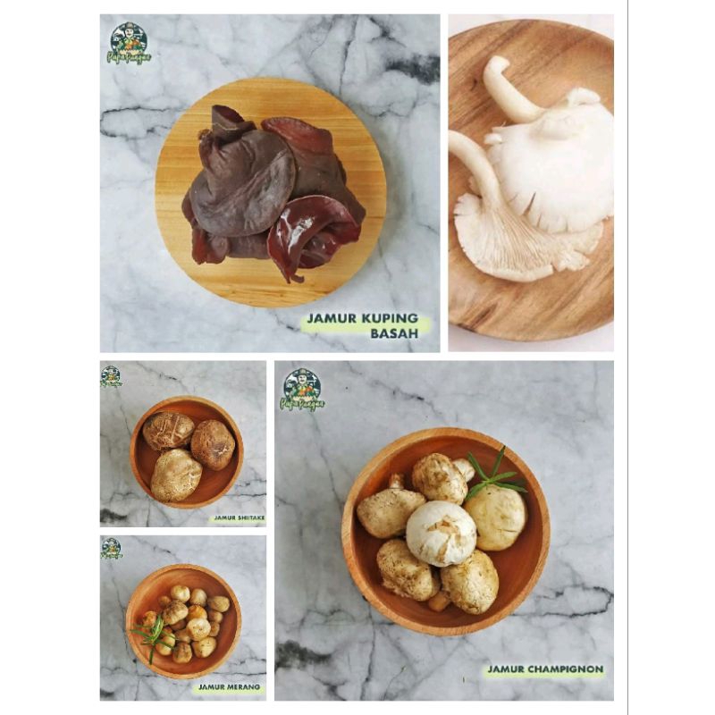 Jual Jamur Tiram Putih | Jamur Kuping | Shiitake Segar | Jamur Kancing ...