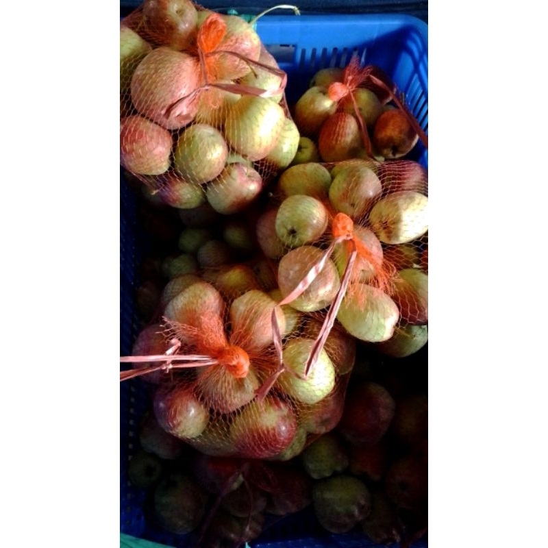 Jual Apel Ana 2kg (Sedang) | Shopee Indonesia