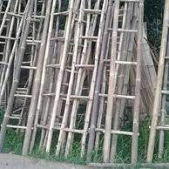 Jual TANGGA BAMBU/TERAZE 6 METER (BANDUNG AREA) | Shopee Indonesia