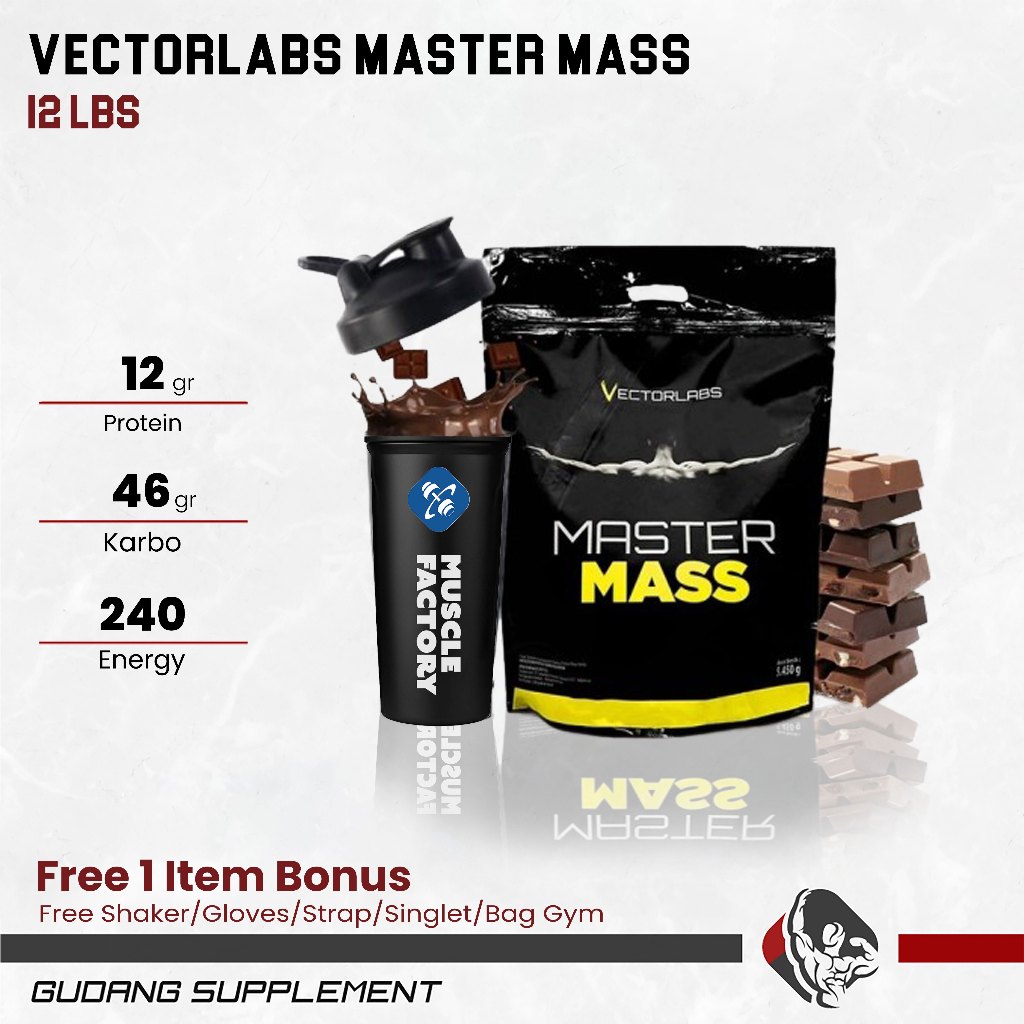 Jual Vectorlabs Master Mass Gainer 12 Lbs Susu Protein Weight Gain | Shopee Indonesia