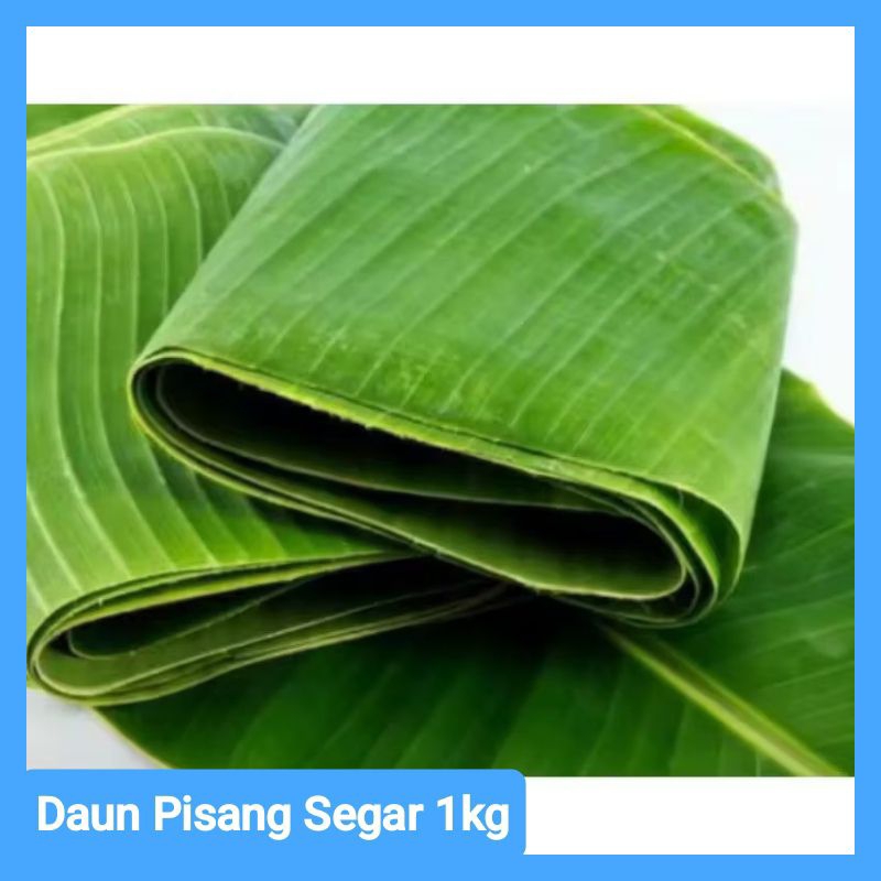 Jual Daun Pisang segar siap pakai 1kg | Shopee Indonesia