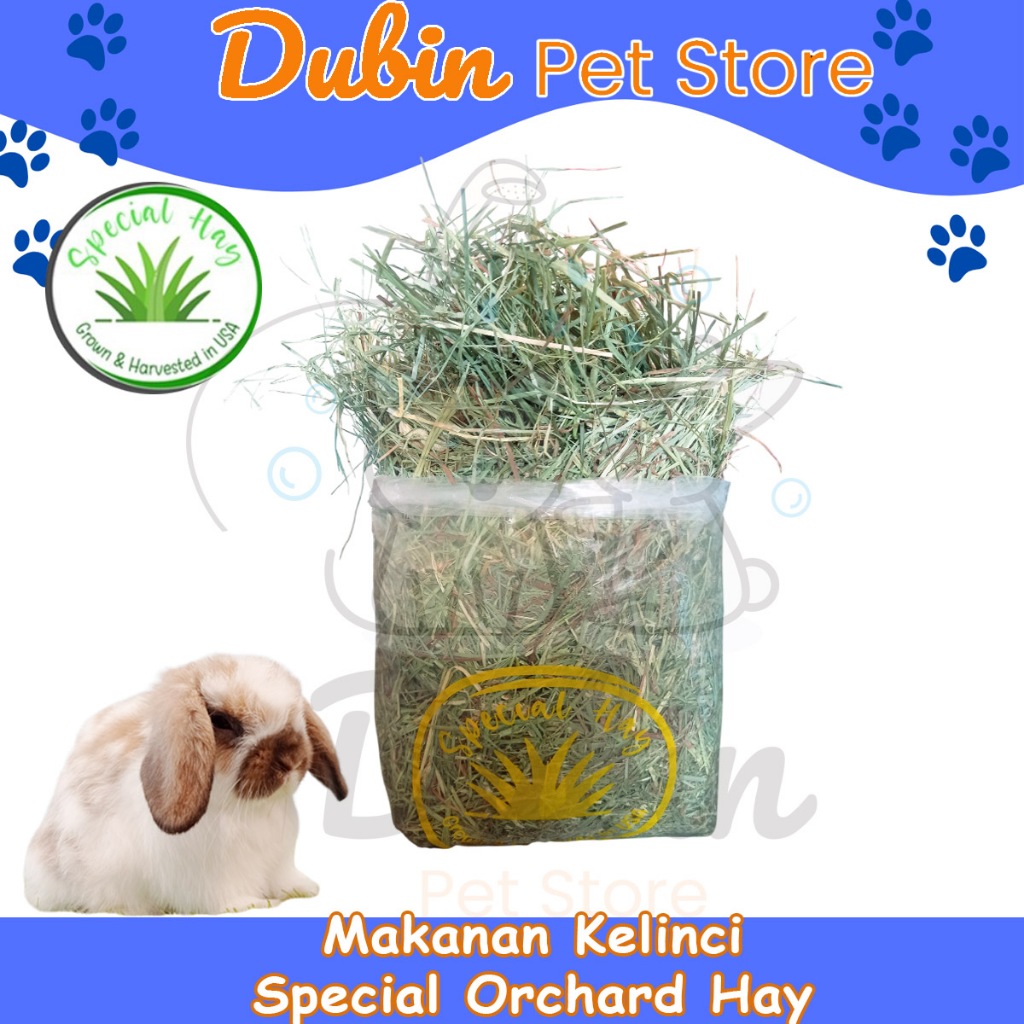 Jual Special Hay Orchard 1 kg | Rumput Hay Makanan kelinci marmut ...