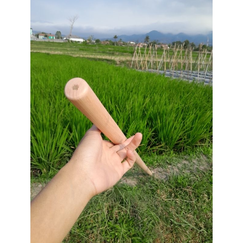 Jual Gymnastic Stick Wooden Mobility Stick Tongkat Yoga Pilates ...
