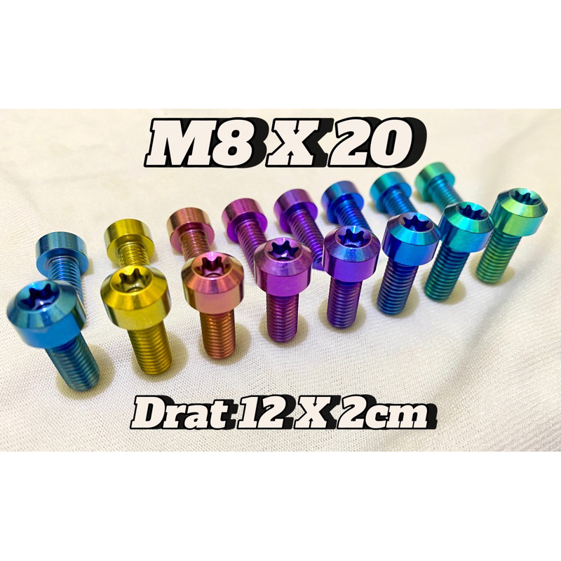 Jual Baut titanium M8 x 20mm Baut Probolt titanium M8 X 2cm Drat 12 panjang 2cm Head small ...