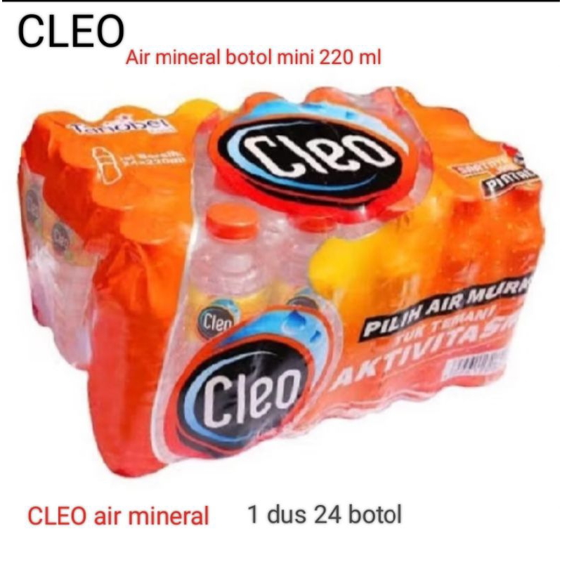 Jual Cleo Air Mineral Botol Mini 220 ml | Shopee Indonesia