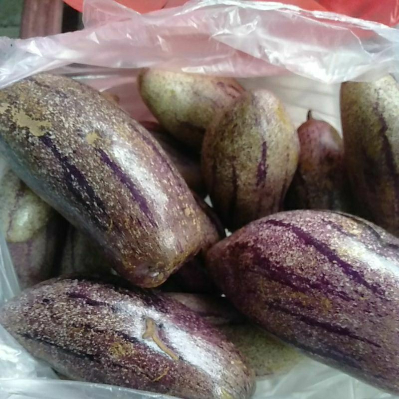 Jual Buah Pepino Papino segar | Shopee Indonesia