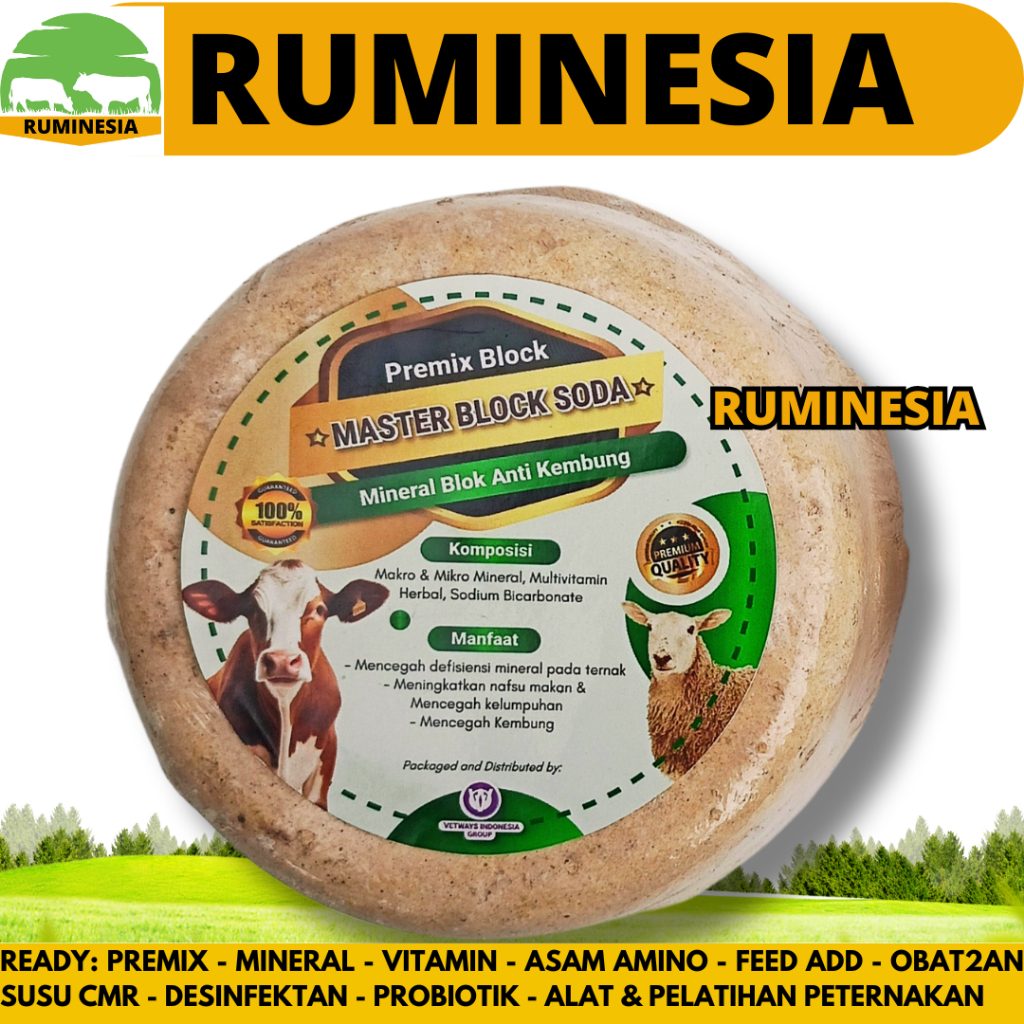 Jual MASTER BLOK SODA 1 KG - Mineral Blok Anti Kembung untuk Anak ...