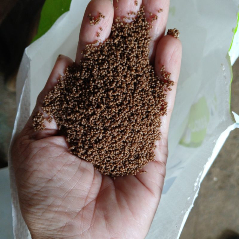 Jual NANOLIS Pakan benih ikan lele mujaer gurami ikan hias 500g ...