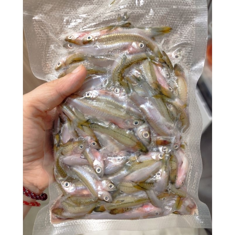 Jual Ikan seluang 1 pax | Shopee Indonesia