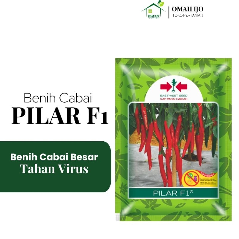 Jual Cabe Pilar F1 Cabe Besar Hibrida Kemasan 1500 Butir Original ...