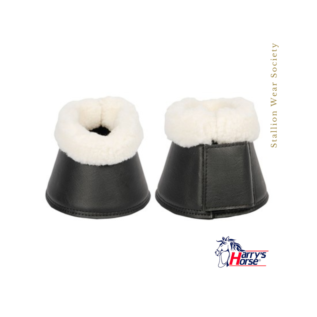Jual Bell boots Harry horse pelindung kaki kuda sepatu kuda olahraga ...