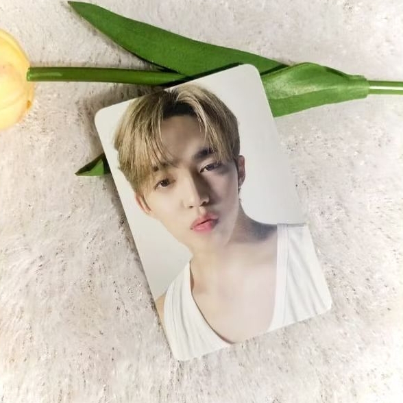 Jual (READY) PHOTOCARD SCOUPS OFFICIAL DEAR VERSION / Photocard scoups ...