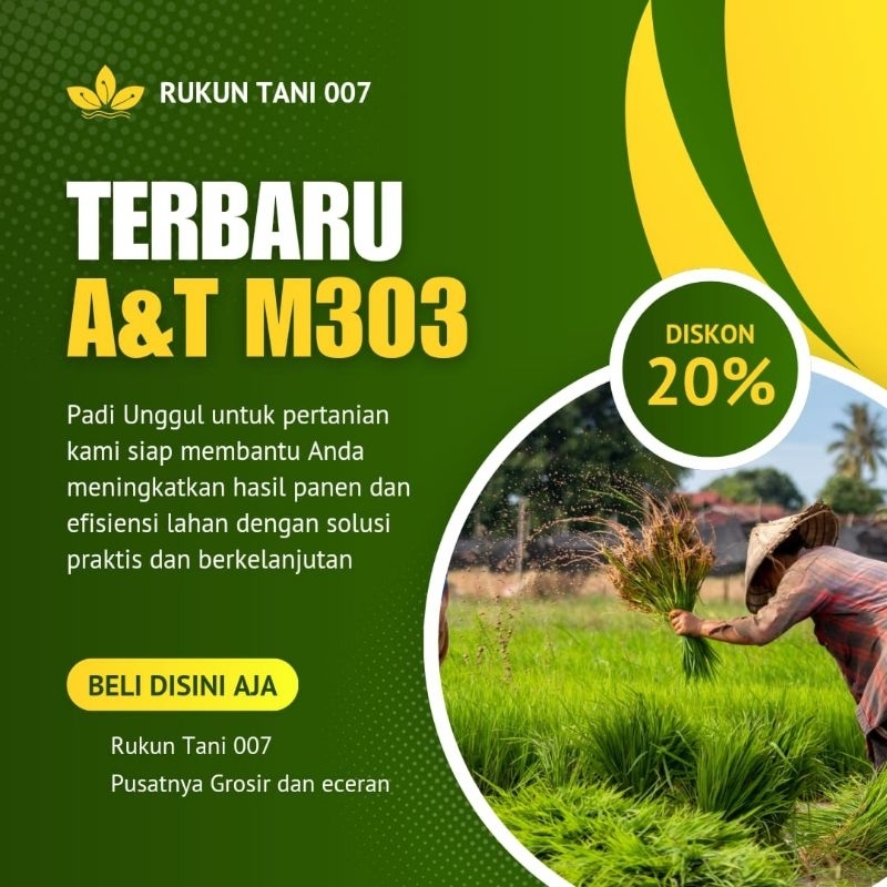 Jual Benih Bibit Padi Unggul A&T M303 Original Kemasan 5Kg | Shopee ...