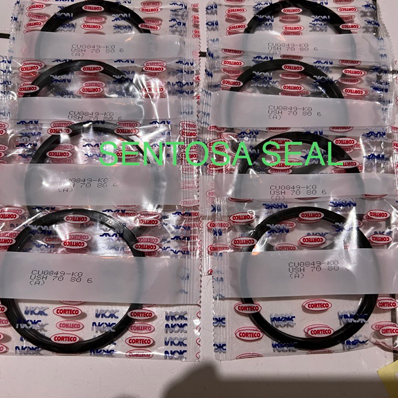 Jual Seal CU0694 NOK USH 55x65x6 NOK USH 55*65*6 NOK USH 55 65 6 NOK NBR | Shopee Indonesia