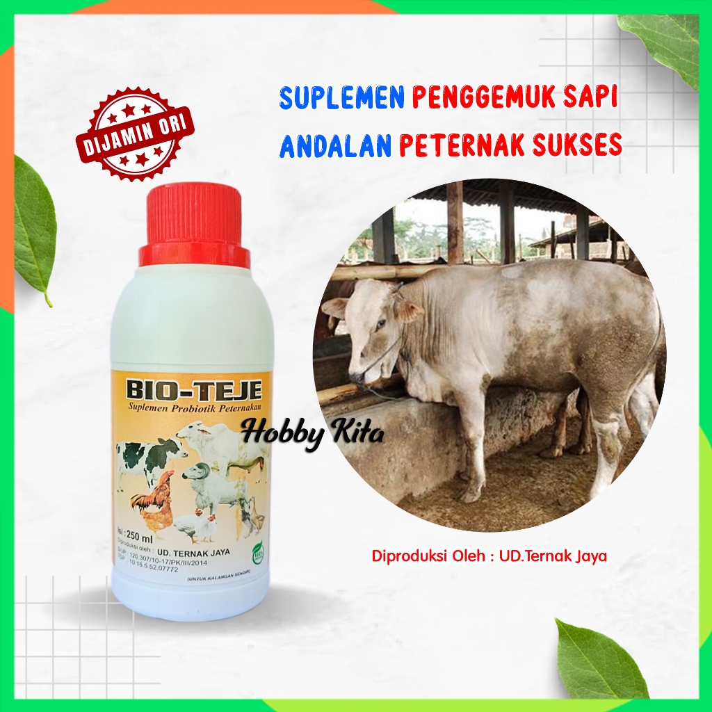 Jual Penggemuk Sapi Paling Cepat MUJARAB Obat Penggemuk Sapi Kambing ...