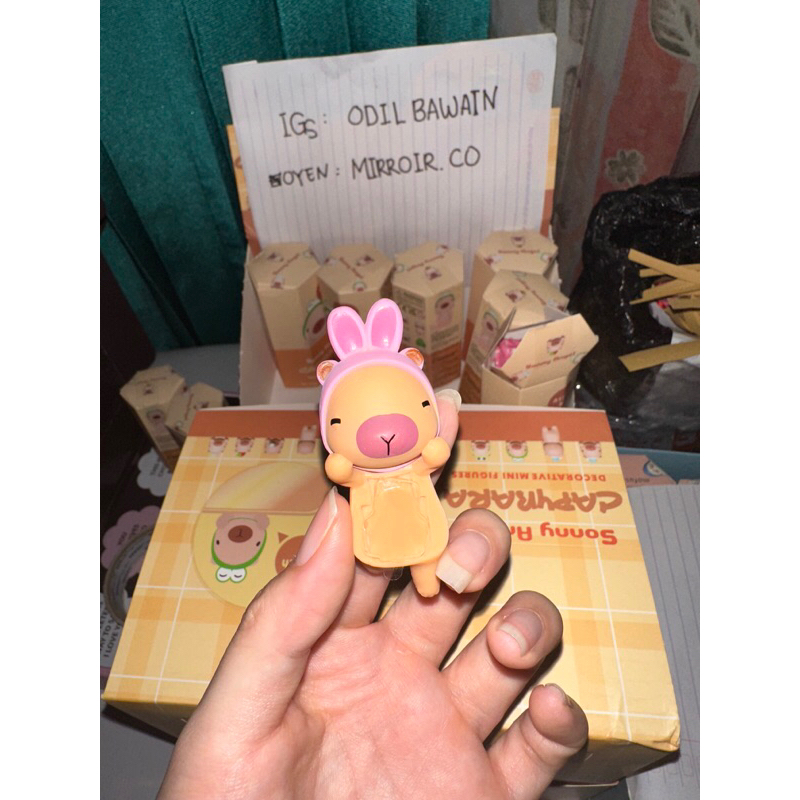 Jual Capybara hippers mini figure blindbox | Shopee Indonesia