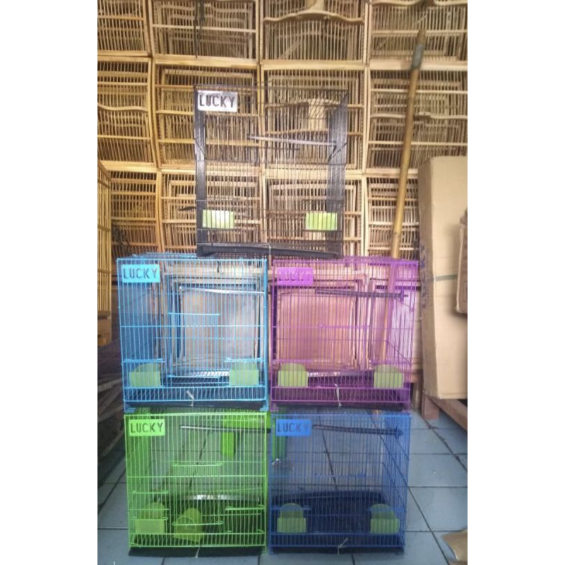 Jual sangkar kotak besi kecil merk lucky | Shopee Indonesia