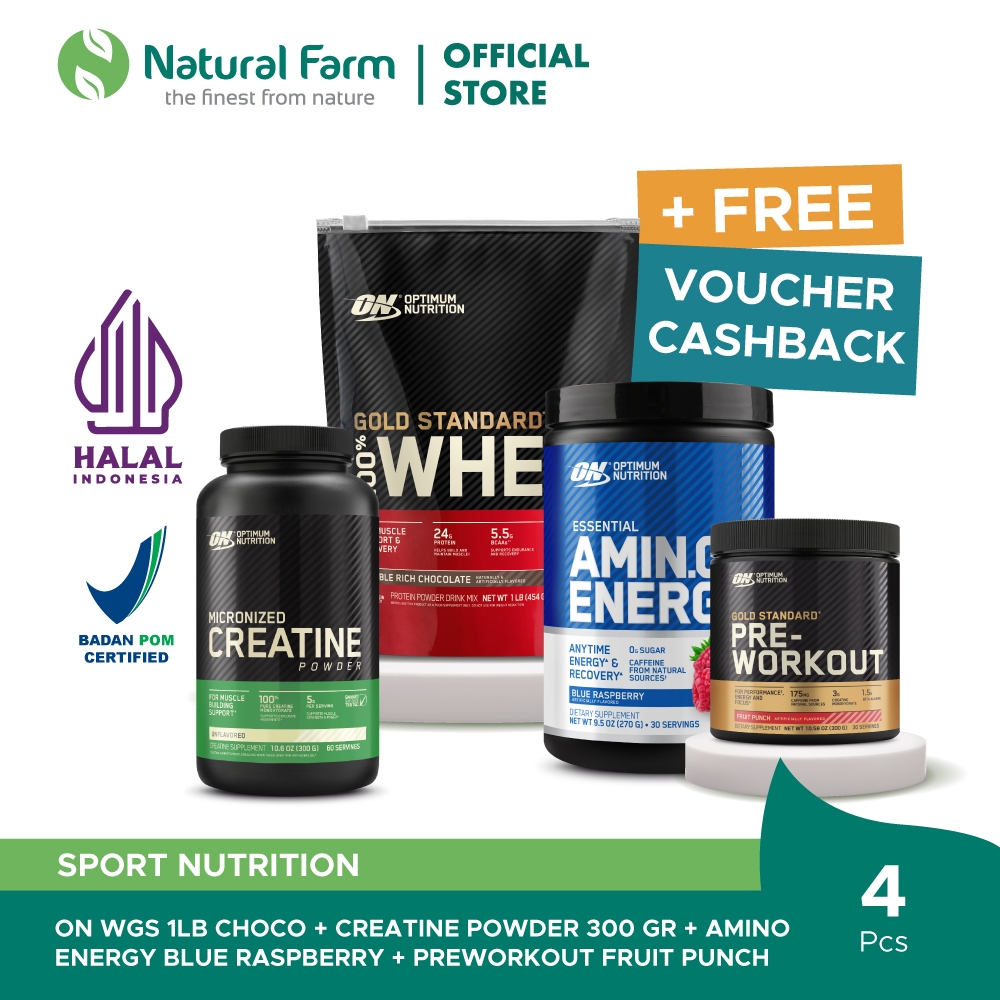 Jual Optimum Nutrition Whey Gold Choco 1 Lb + Creatine Powder 300gr ...