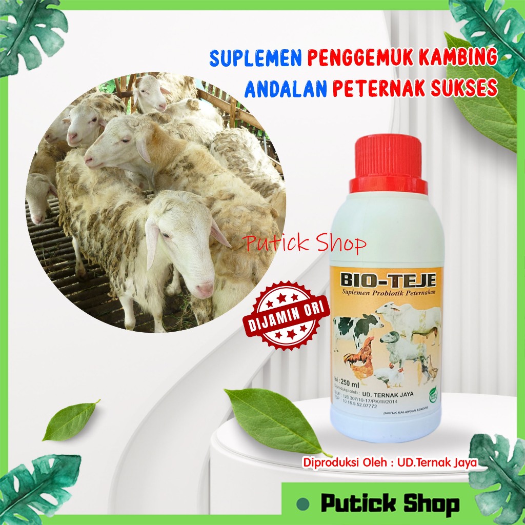 Jual Suplemen Kambing Sapi cepat gemuk Vitamin Penambah makan Penggemuk ...