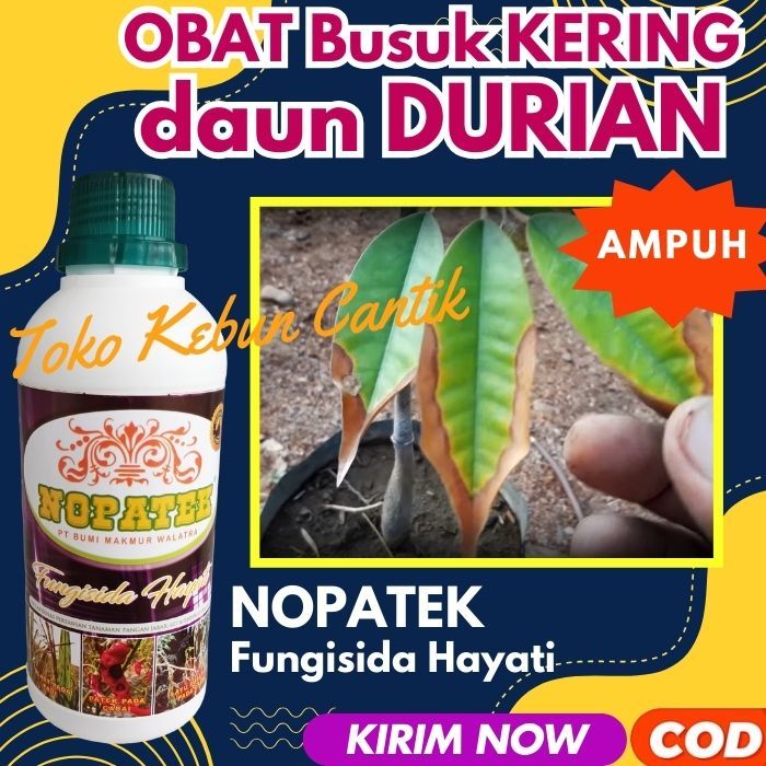 Jual ORIGINAL. NOPATEK Fungisida Hayati untuk Tanaman Pangan - Ampuh ...