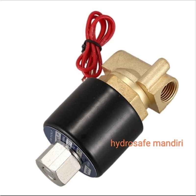 Jual Solenoid Valve 2 Way Kuningan 1/4" inch Normal Close AC 220 / DC 24 | Shopee Indonesia