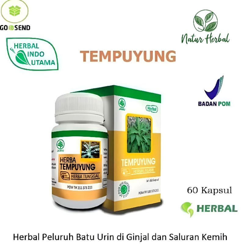 Jual Kapsul Tempuyung Herbal Indo Utama - Solusi Herbal untuk Kesehatan ...