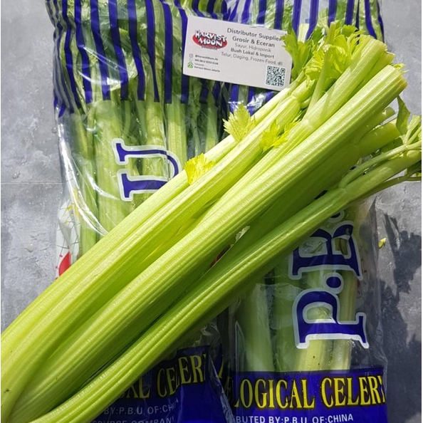 Jual HarvestMoon Celery Stick Import Per kg | Shopee Indonesia