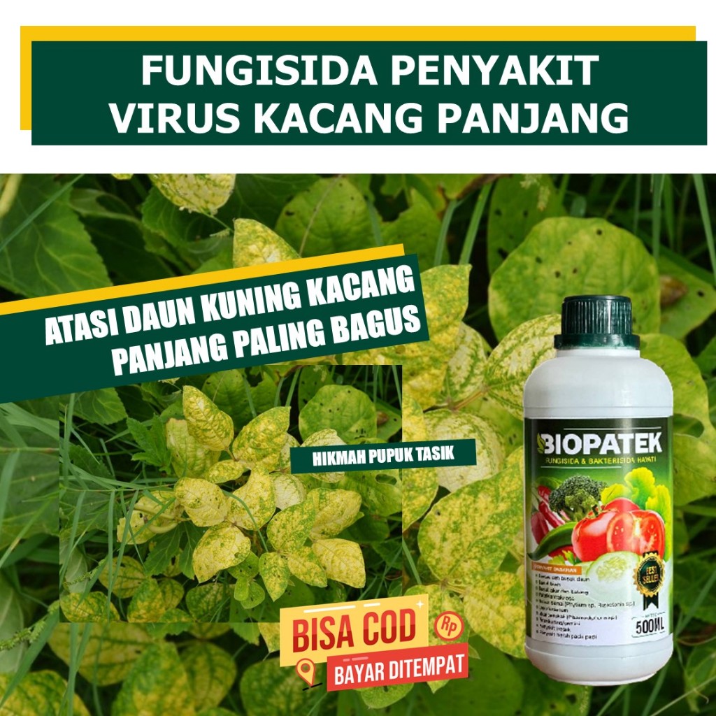 Jual BAYAR DI TEMPAT BIOPATEK FUNGISIDA HAYATI OBAT HAMA VIRUS KUNING ...