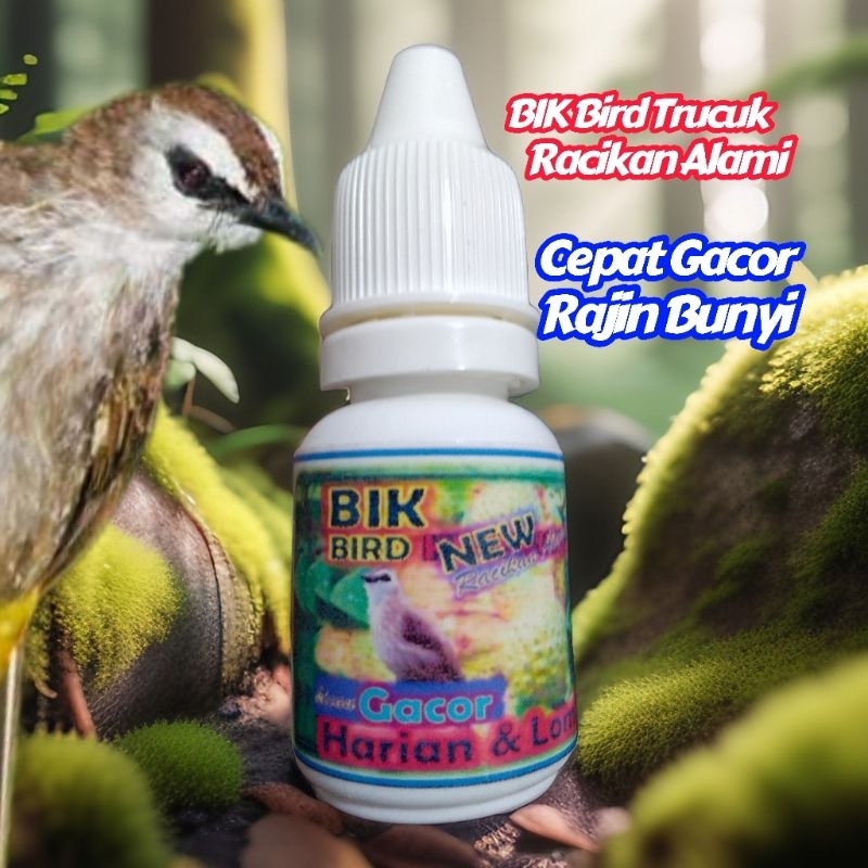Jual Trucuk Gacor Ropel. D0ping Burung Jogjrog BIK Bird Trucuk Racikan ...