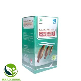 Jual Procena 60 kapsul | Kapsul Ekstrak Ikan Gabus | Albumin Ekstrak Ikan Kutuk Penyembuh Pasca ...