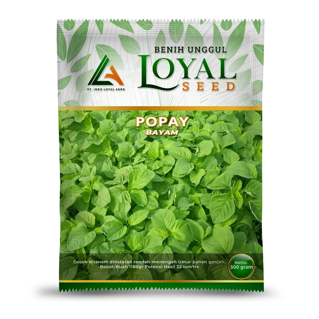 Jual BENIH BAYAM HIJAU UNGGUL POPAY 500 GR CAP LOYAL SEED | Shopee ...
