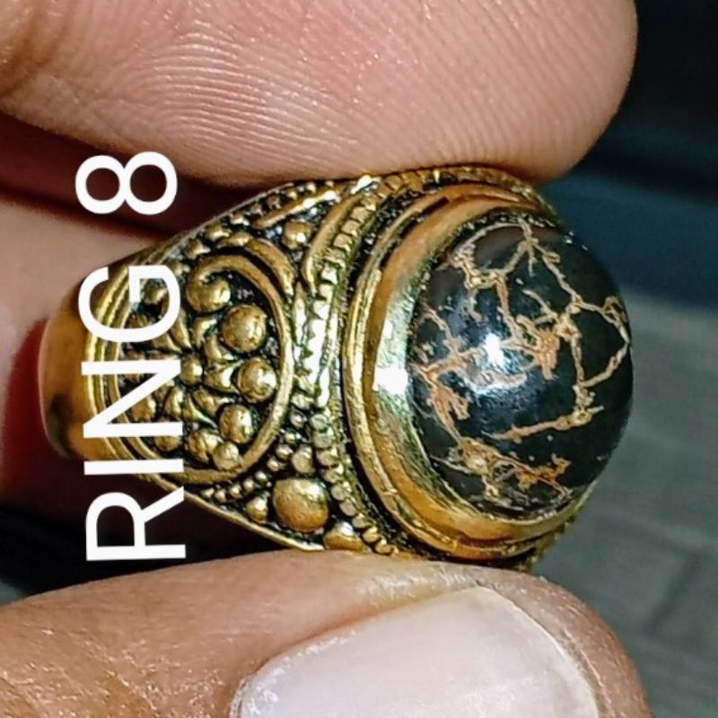 Jual NATURAL PIRUS HITAM SAKRAL GUNUNG RAUNG LANGKA | Shopee Indonesia