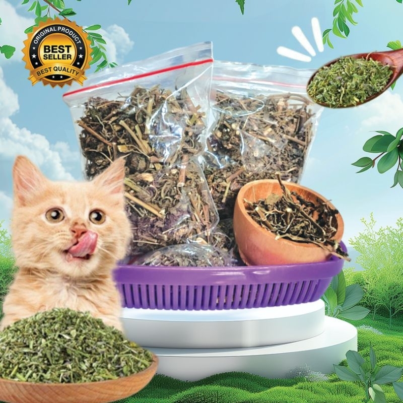 Jual CATNIP 100 GR - Daun Akar CATNIP Makanan Mainan Kucing Catmint ...