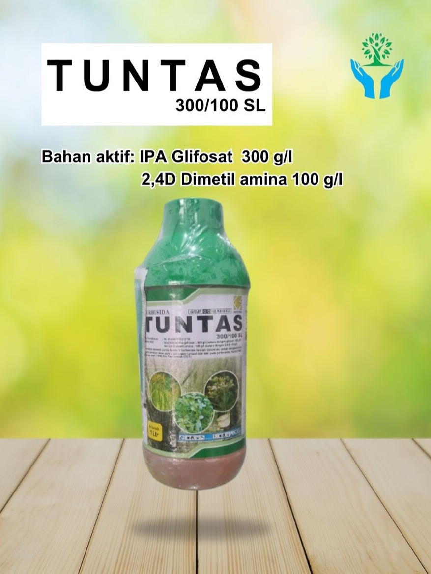 Jual Tuntas 300/100 SL Herbisida Sistemik - Obat Rumput Akar | Shopee ...