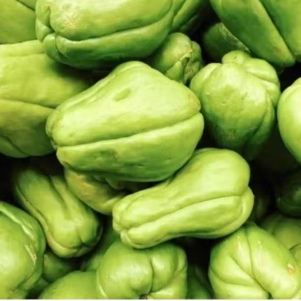 Jual Labu Siam Besar 500 gr | Shopee Indonesia