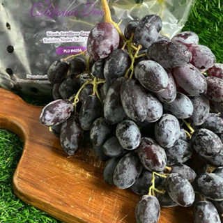 Jual anggur autumn royal Harga Terbaik & Termurah Desember 2025 ...