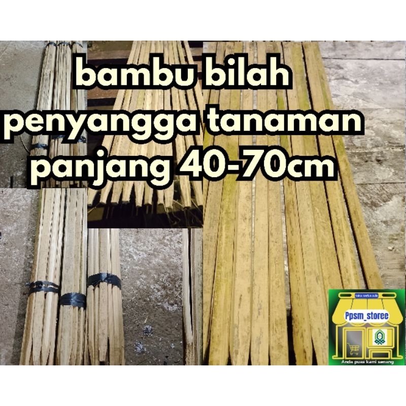 Jual bambu bilah ajir tanaman per 20 batang dengan ukuran panjang 40 ...