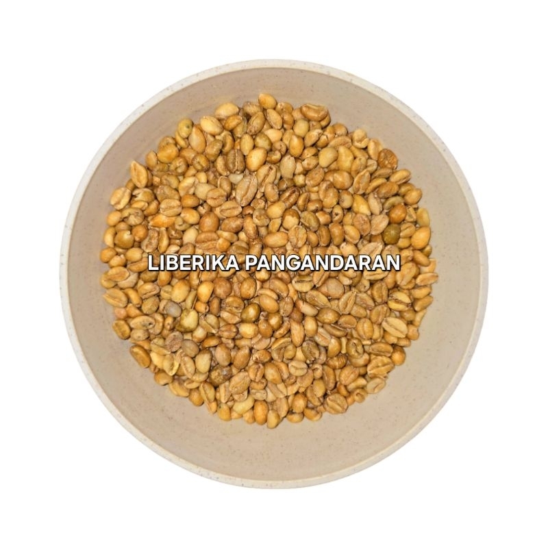 Jual Biji Kopi Green Bean Liberika Pangandaran-1Kg | Shopee Indonesia