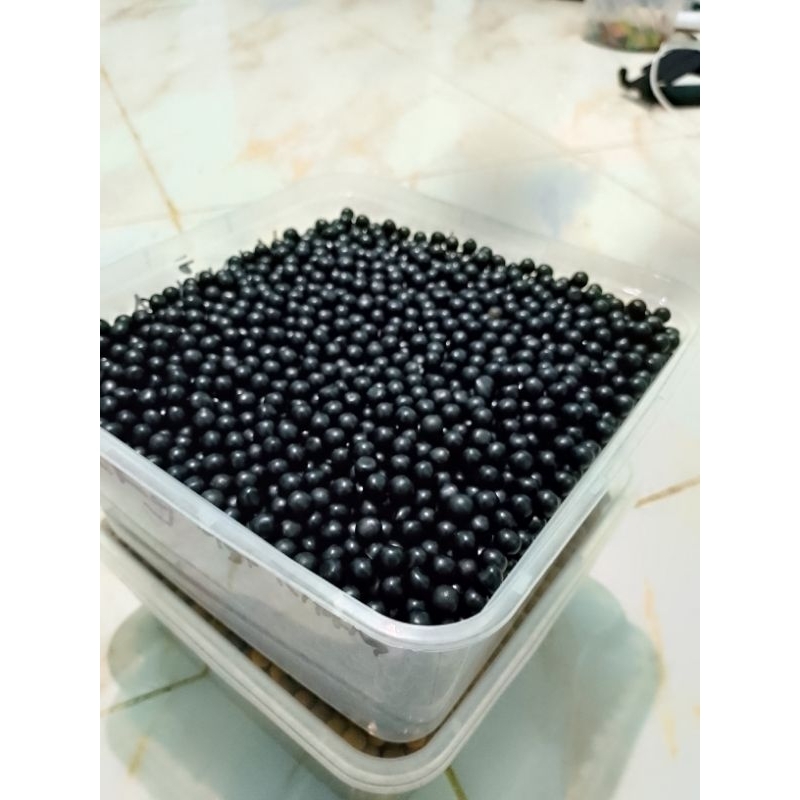 Jual PIL PINANG MUDA | Shopee Indonesia