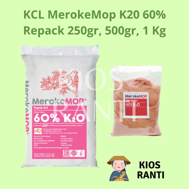 Jual PUPUK KCL MEROKE MOP KEMASAN REPACK 250gr, 500gr, 1 Kg / KCL ...